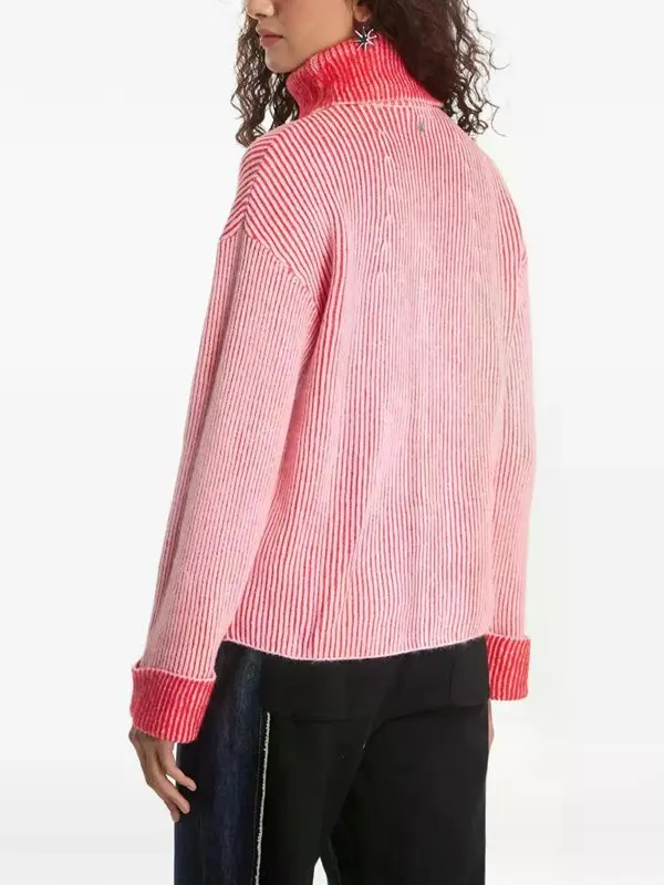 Desigual Ribbed-knit Roll-neck Sweater