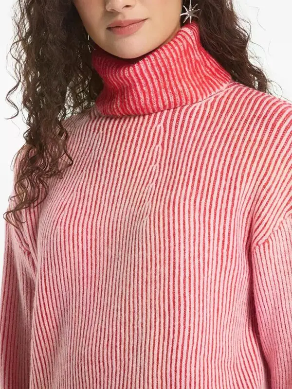 Desigual Ribbed-knit Roll-neck Sweater