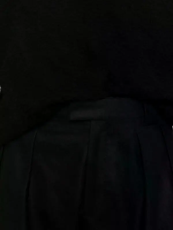 BERWICH Pleated Wool Trousers