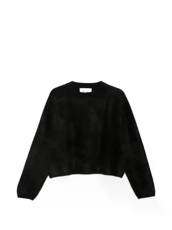 Soft Goat Fuzzy-knit Sweater - Black