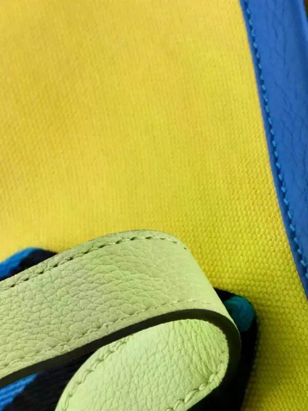 Hermès Pursangle Canvas With Leather Tote Bag