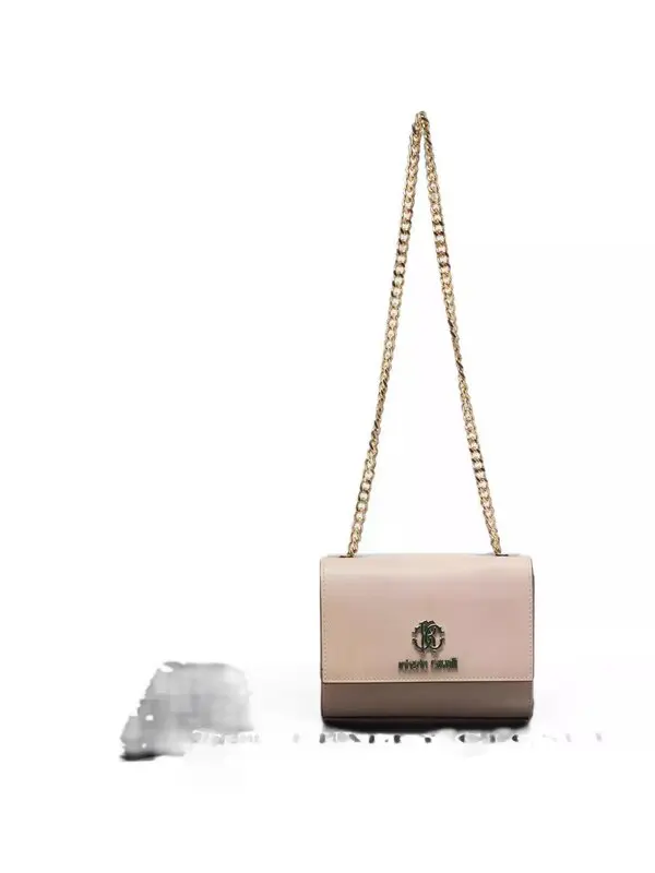 Roberto Cavalli Chain-strap Flap Mini Bag
