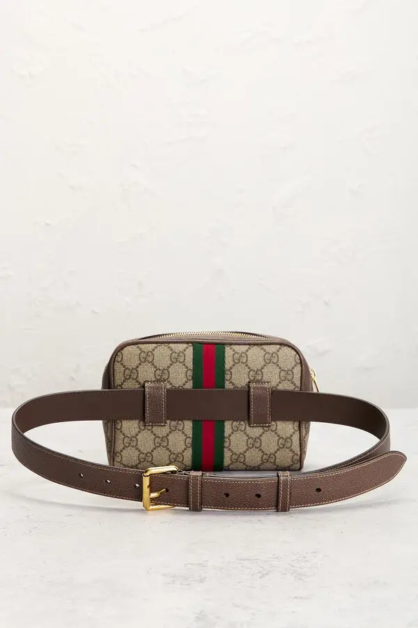 Gucci Ophidia Belt Bag