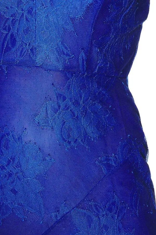 Alex Perry Bikini Lace Gown