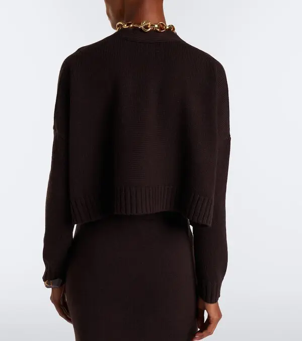 Max Mara Cropped Wool And Cashmere Cardigan - Brown