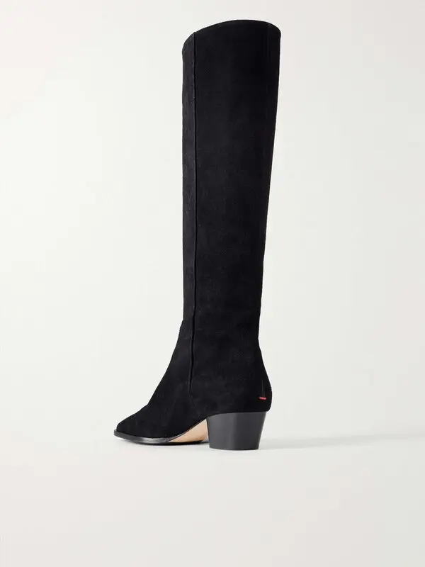AeydĒ Medea 40 Suede Knee Boots