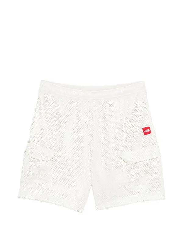 The North Face Utilitarian Mesh Shorts For