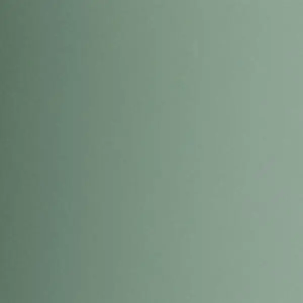 ASOBU Bestie Turtle Water Bottle - Green