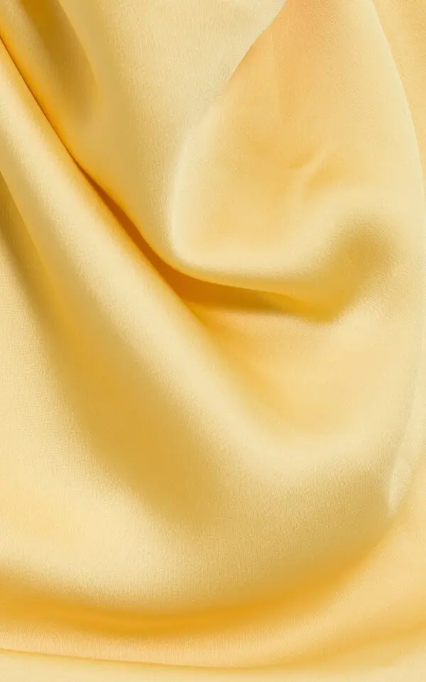 Simkhai Reannon Draped Satin Gown