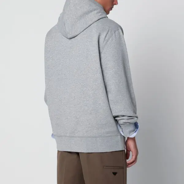 Polo Ralph Lauren Hoodie In Brushed Cotton