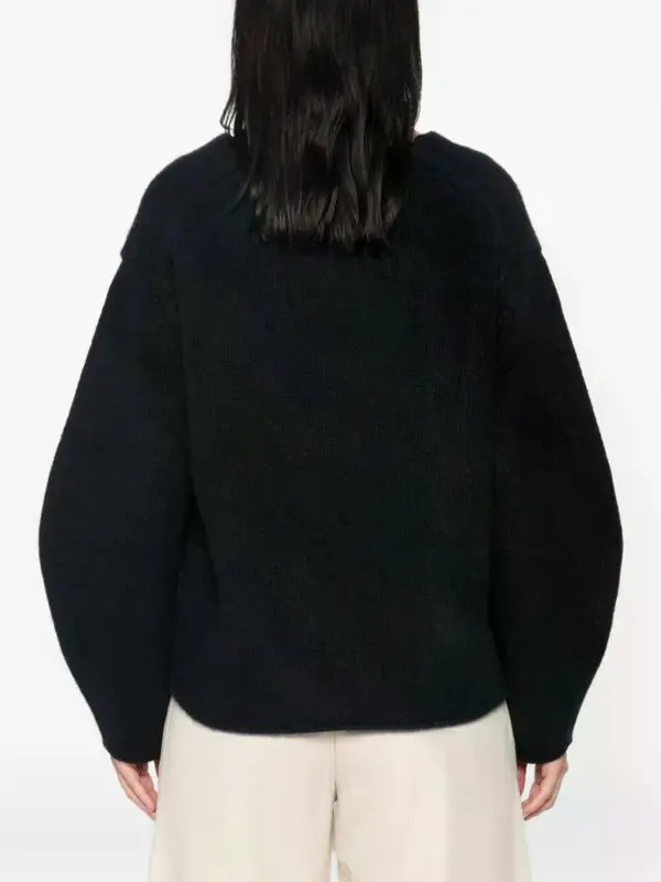 Soft Goat V-neck Raglan-sleeve Sweater