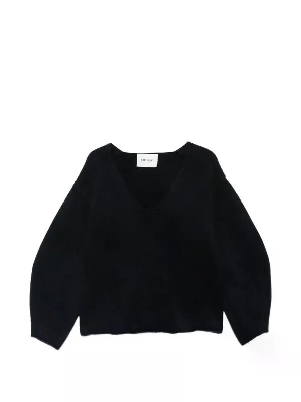 Soft Goat V-neck Raglan-sleeve Sweater - Blue