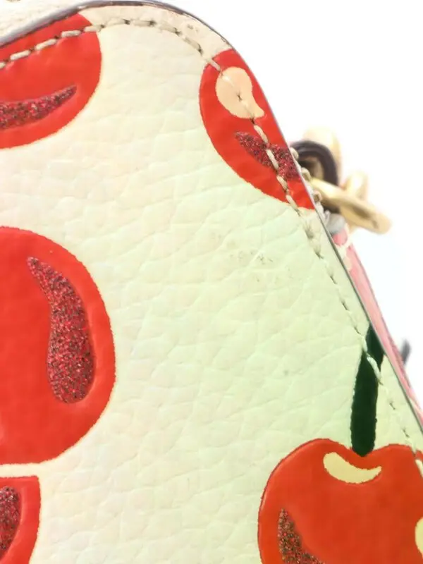 COACH VINTAGE 2010s Kira Cherry Clutch Bag
