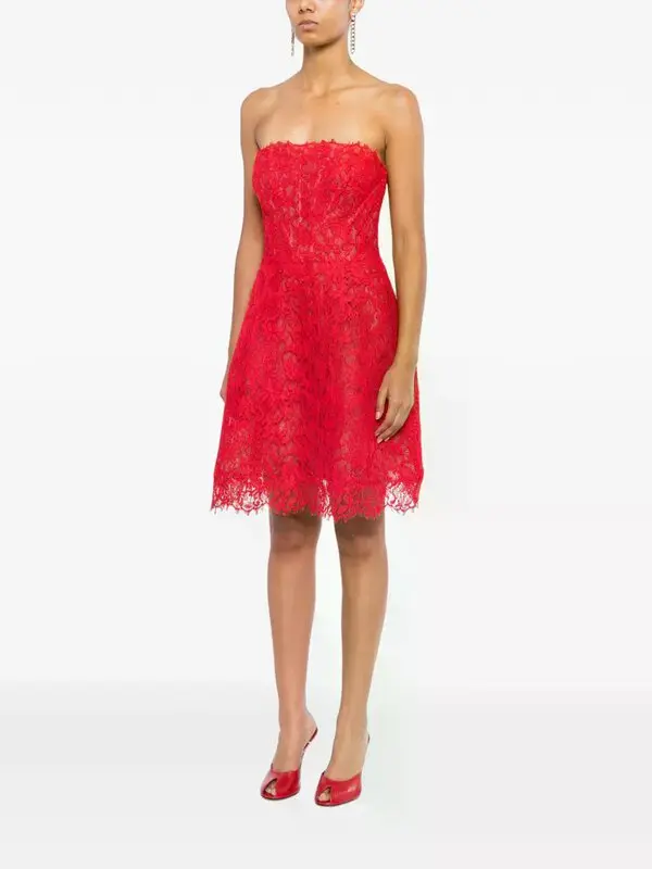 Monique Lhuillier Strapless Lace-embroidered Dress