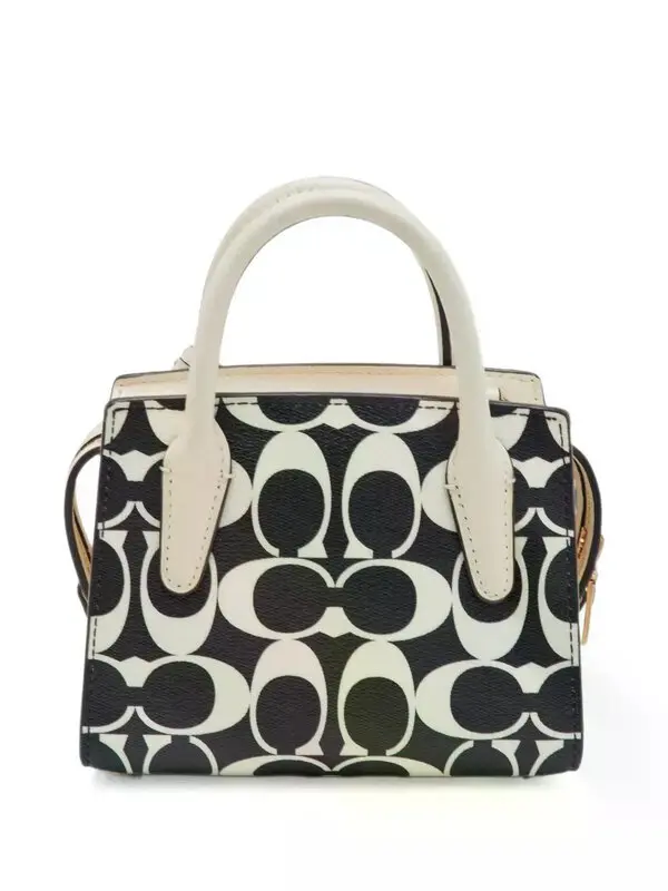 COACH Andrea Carryall Signature Handbag