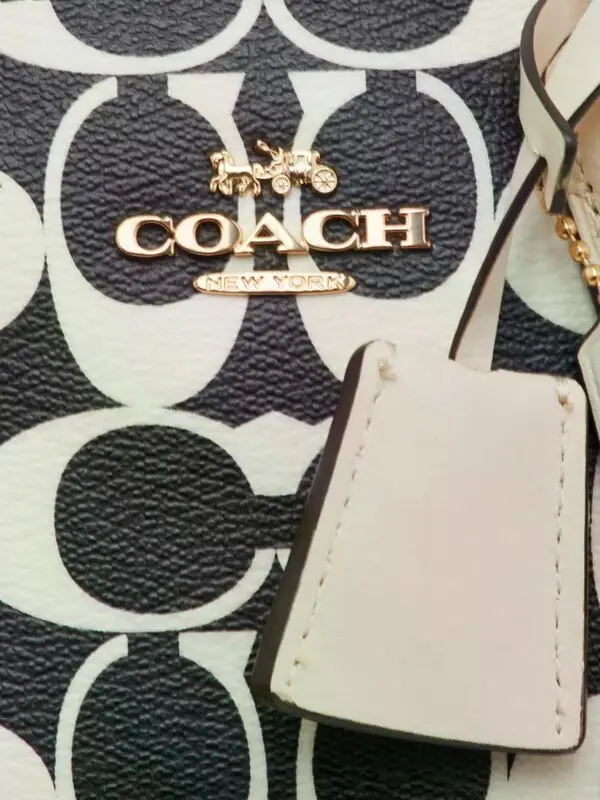 COACH Andrea Carryall Signature Handbag