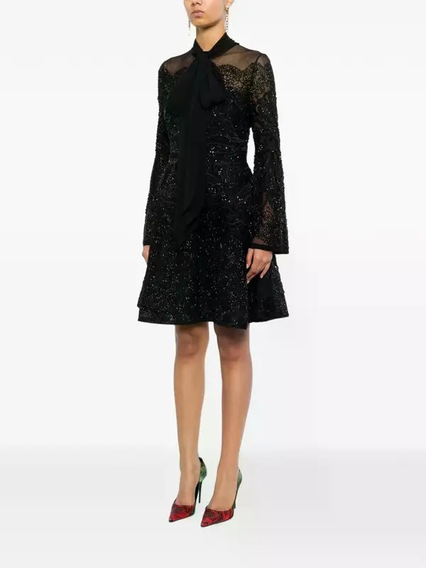 Elie Saab Embellished Tulle Dress