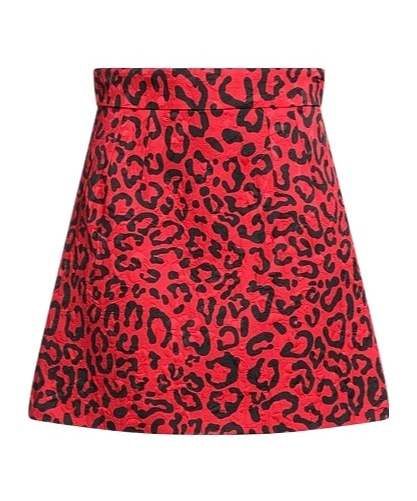 Dolce & Gabbana Mini Skirts