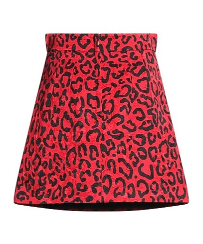 Dolce & Gabbana Mini Skirts