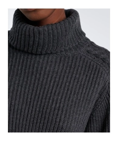 JOSEPH Alodina Wool Turtleneck Sweater