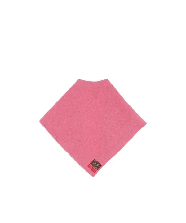 B.B. WALLACE Knit Triangular Scarf