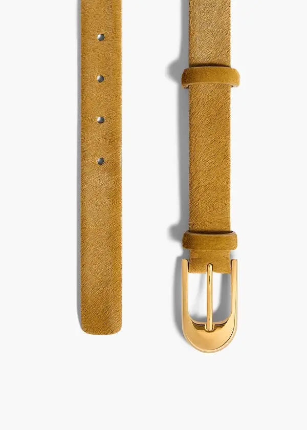 Khaite Dome Belt In Haircalf With Gold
