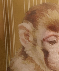 Khaite Goya Silk Organza Shirt - Monkey Print