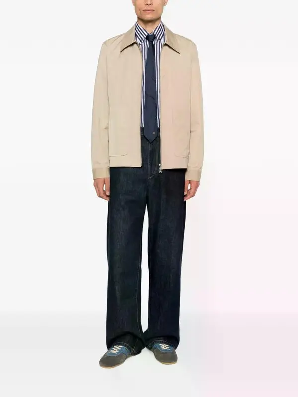 Etro Striped Button-down Shirt - Blue