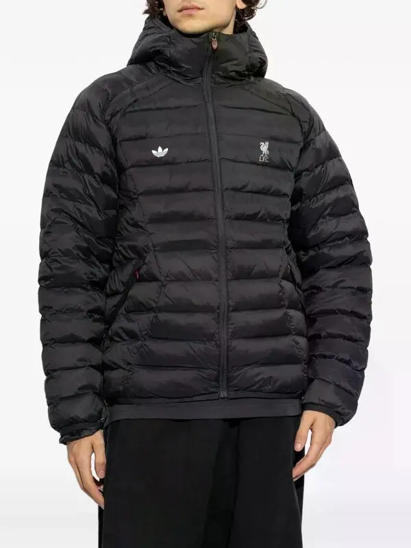Adidas Liverpool Fc Hooded Quilted Jacket