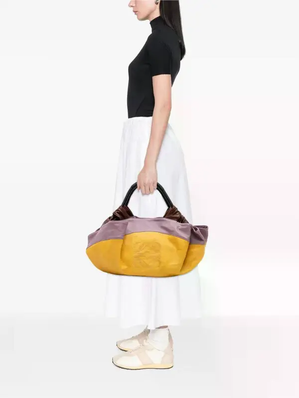 Loewe 2007 Multicolor Nappa Aire Hobo Bag