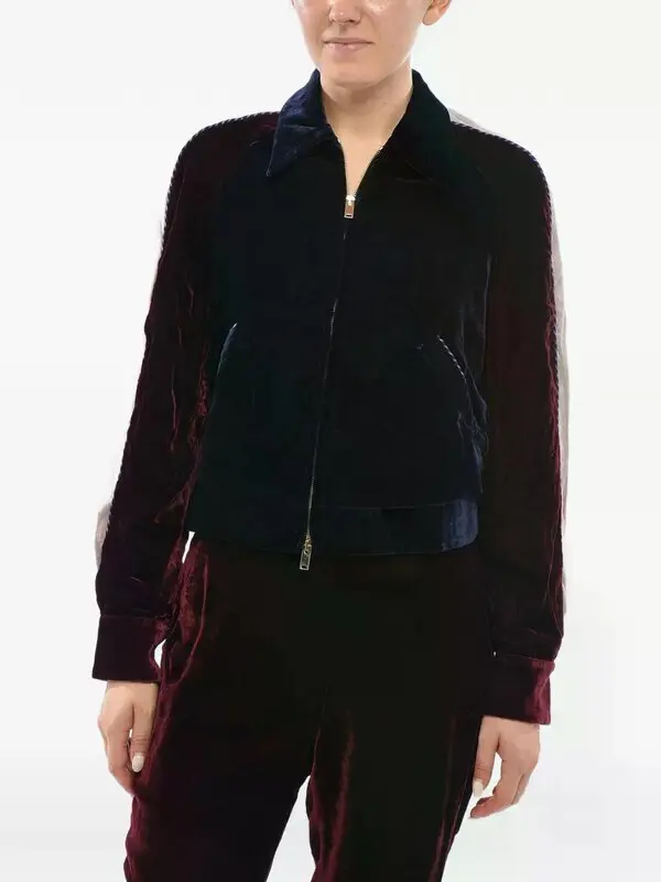 Stella McCartney Miranda Embroidered Velour Jacket