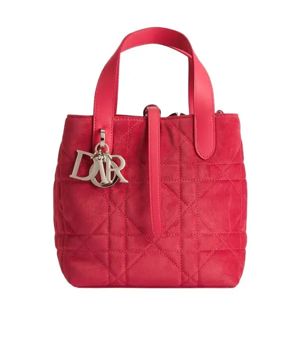 Dior Small Toujours Vertical Tote Bag - Red