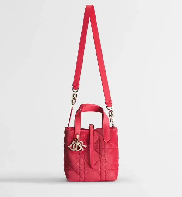 Dior Small Toujours Vertical Tote Bag