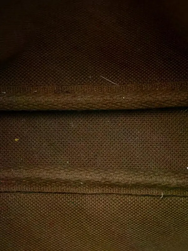 LOUIS VUITTON 2021 Monogram Mini Pochette Accessoires Handbag