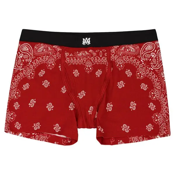 Amiri Bandana Briefs