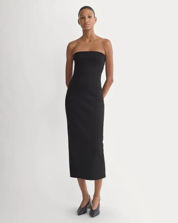 Everlane Form Tube Dress - Black