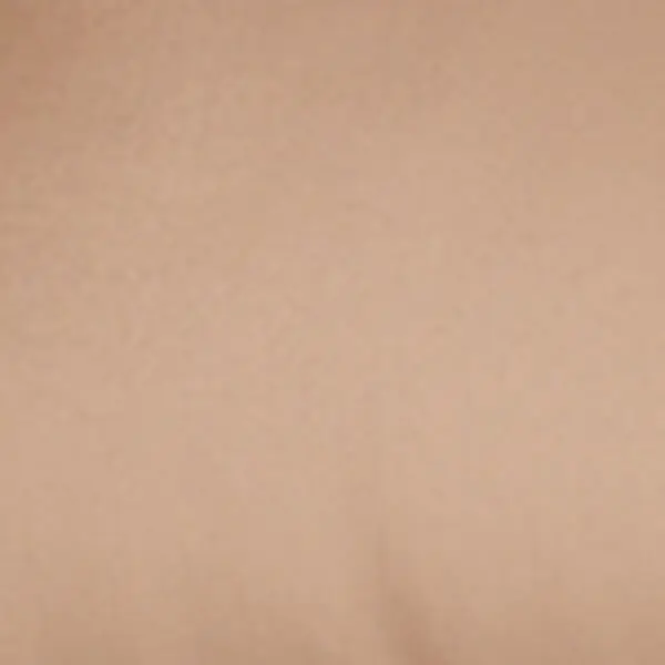 Max Mara High-neck Puffer Jacket