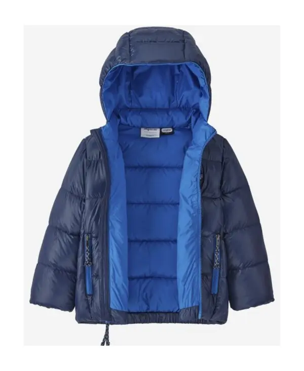 Patagonia Padded Hooded Jacket