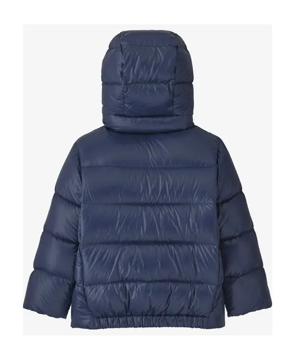 Patagonia Padded Hooded Jacket