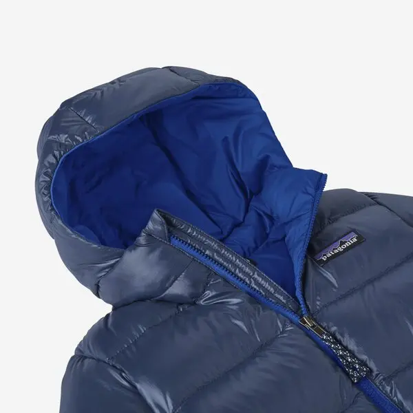 Patagonia Padded Hooded Jacket