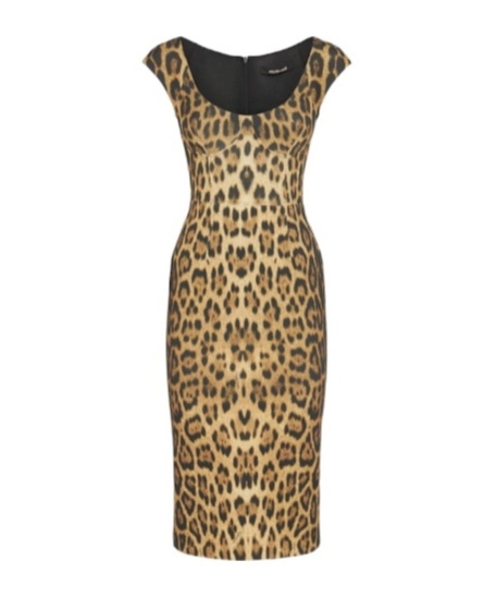 Roberto Cavalli Leopard Print V-neck Midi Dress