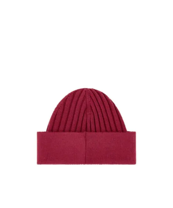 Emporio Armani Ribbed Virgin Wool Beanie With A Folded Cuff And Embroidery