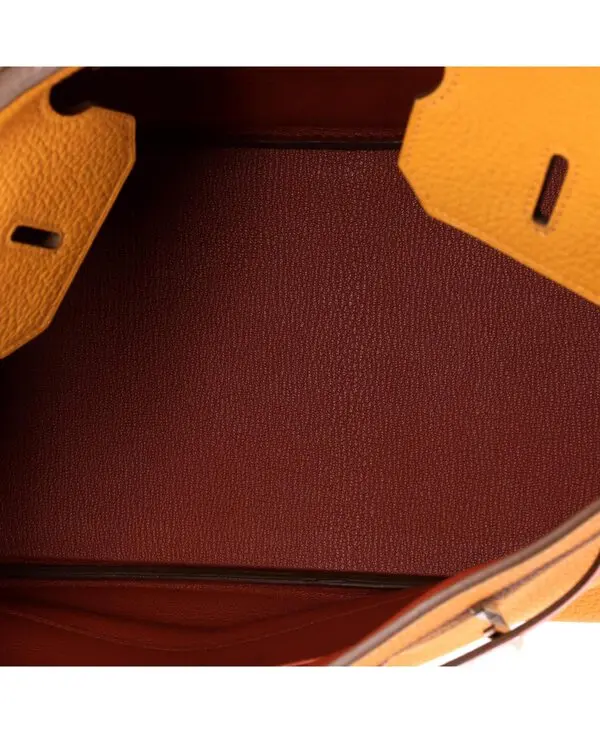 Hermès Birkin 35 Handbag Cascade Tricolor Clemence And Swift With Brushed Palladium Hardware