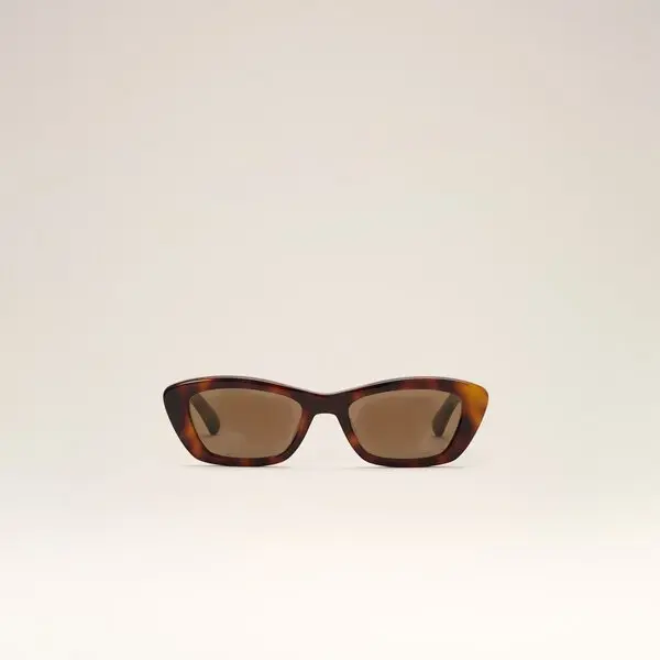 AMI Paris Brown Sunglasses 75020 Multicolor