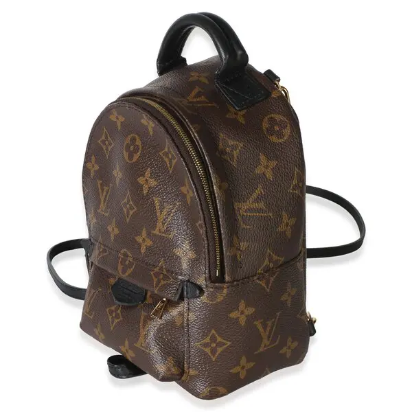 LOUIS VUITTON Monogram Canvas Palm Springs Backpack - Brown