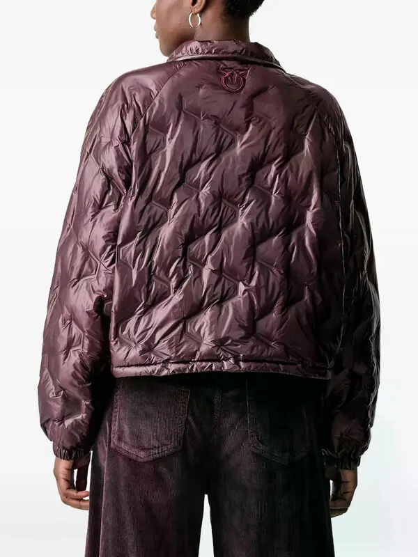 Pinko Quilted Zip-up Jacket