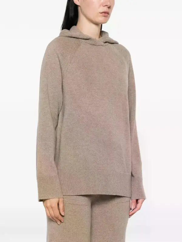 Max Mara Raglan-sleeve Cashmere Hoodie