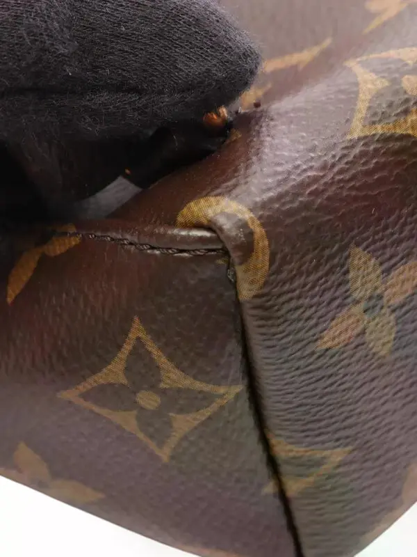 LOUIS VUITTON 2021-2026 Monogram Excursion Pm Backpack - Brown