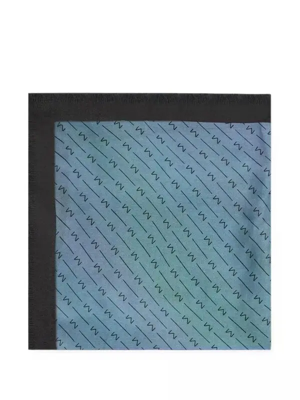 Max Mara Logo-print Fringed Scarf - Blue