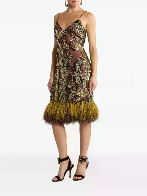 Etro Dress With Sequins And Feather Details
